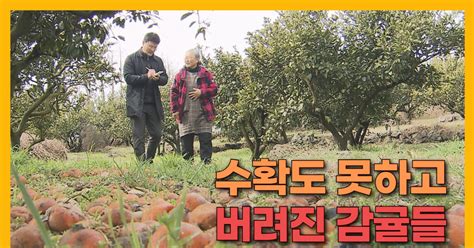 자막뉴스 사용 안 한 농약 검출에 무너진 18년 유기농업 고집