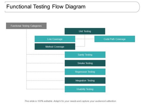 Functional Testing Flow Diagram Ppt Powerpoint Presentation Diagram