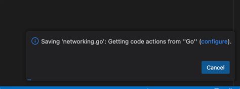 Saving File Stuck Saving Xxxxgo Getting Code Actions From Go · Issue 2687 · Golang
