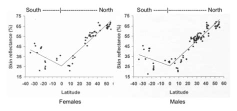 Biology Ch 23 And The Biology Of Skin Color Case Study Flashcards Quizlet