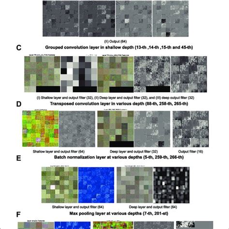 feature maps and visualization of the network a visualization of