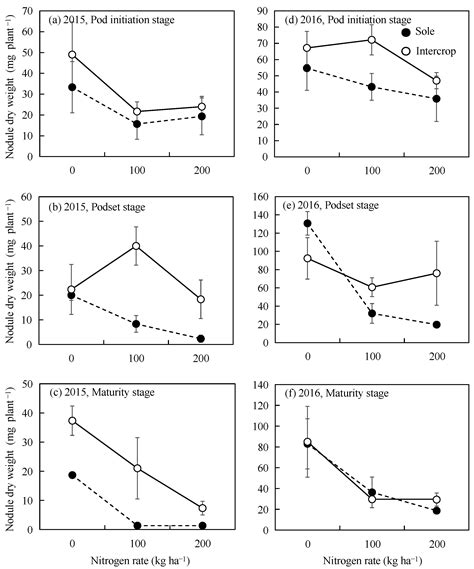 Maizepeanut Intercropping Affects Legume Nodulation In Semi Arid Conditions