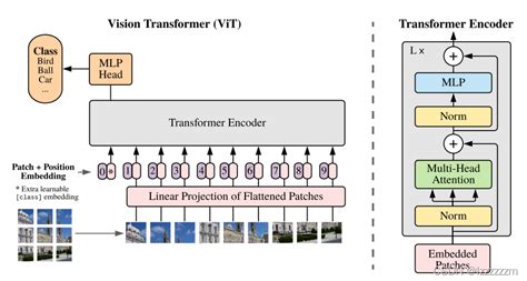 Visiontransformer（一）—— Embedding Patched与word Embedding及其实现vit Patch