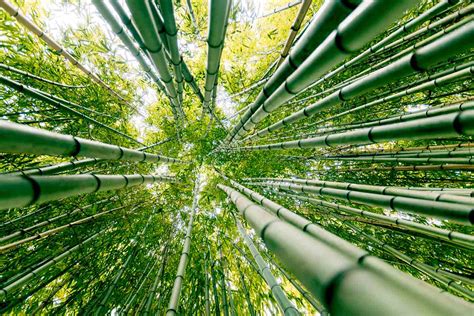 Portfolio Construction