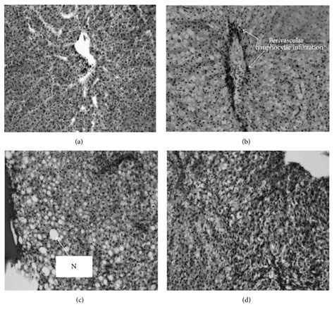 Sex Related Differences In Hematological Parameters And Organosomatic Indices Of Oreochromis