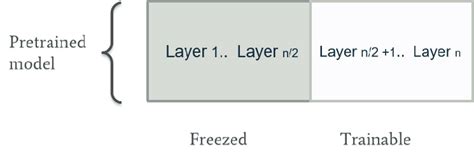 High Level Pretrained Model Structure This Makes The Model To Make Use Download Scientific