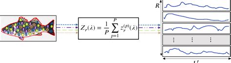 Figure 4 From A Spatial Spectral Classification Method Based On Deep