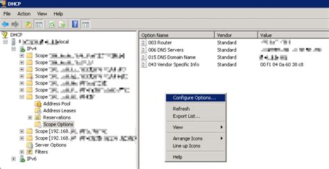 Cisco Wlc Dhcp Option 43 Network Guy