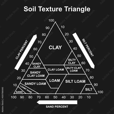Soil Texture Triangle Biological Earth Structure Soil Chart Percent Category Vector