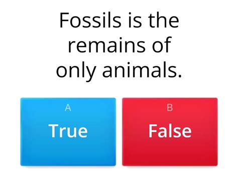 Fossils Quiz