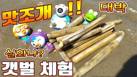 뽀로로와 친구들이 갯벌에가서 소금을 뿌렸더니 맛조개가 나왔어요 갯벌체험 생물관찰 꽃게 맛조개 뽑기 꿈토이 제27화 Youtube