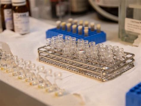 Taqman Snp Genotyping Analysis Eurecat Labs