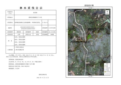 惠来县惠城镇石兰口村林木采伐公示