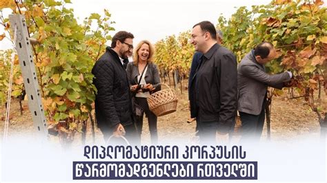 დიპლომატიური კორპუსის წარმომადგენლები რთველში Youtube