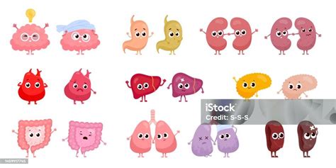 건강에 해로운 장기 전체 및 손상된 인간의 내부 장기 슬프거나 행복한 얼굴 캐릭터 해부학 적 부분 위 심장 내장 신장 아픈 간 귀여운 만화 벡터 일러스트 레이 션 만화에
