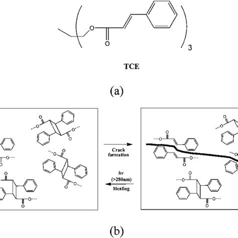 Pdf Intrinsic Self Healing Of Covalent Polymers Through Bond