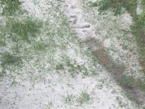 Shimla Himachal Pradesh Monsoon Himachal Pradesh Monsoon Situation