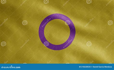 Intersex Flag Waving In The Wind Intersexuality Community Banner Blowing Stock Image Image Of