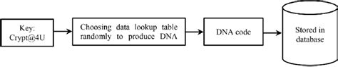 Dna Encoding Process Download Scientific Diagram