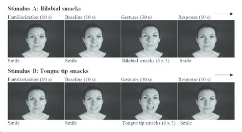Schematic Representation Of The Experimental Paradigm Download Scientific Diagram