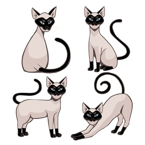 Siamese Cat Cartoon