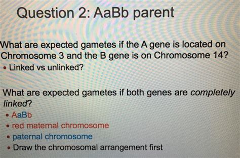 Solved What Are Expected Gametes If The A Gene Is Located On