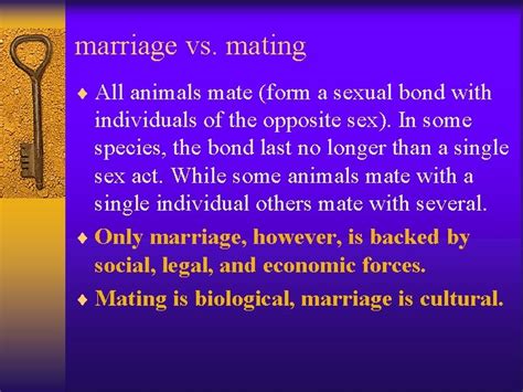 Love Sex And Marriage Sex Love And Marriage