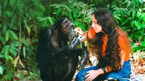 Watch Lucy The Human Chimp Prime Video