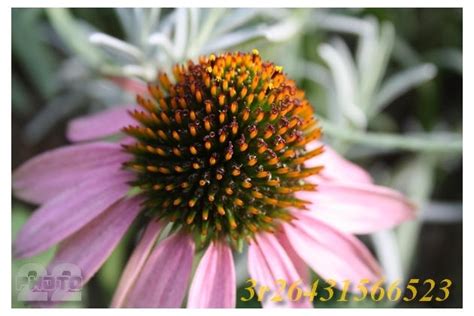 Structures Iii By 22photo On Deviantart