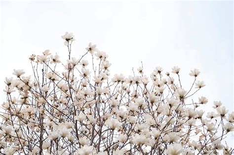 성공회 남양주교회 아침기도 부활 하신 주님 주님을 만나길 간절히 소망합니다 나와 함께 하신 주님 이웃 속에 계신 주님 만물 생명 안에 계신 주님을 우리가 만나게 하소서