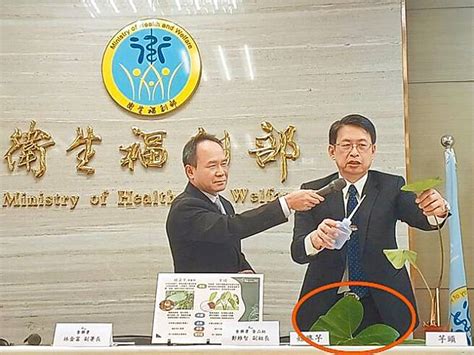 誤拿千年芋當姑婆芋 食藥署衛教記者會翻車 中時新聞網 Line Today