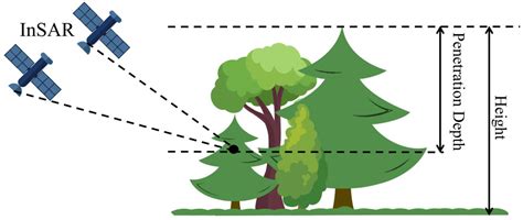 Combining Multi Dimensional Sar Parameters To Improve Rvog Model For Coniferous Forest Height