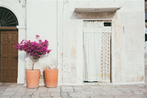 무료 이미지 건축물 화이트 집 꽃 창문 벽 발코니 아치 봄 기둥 색깔 정면 인테리어 디자인 5760x3840 55324 무료 이미지