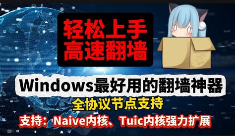 2024最好用的windows翻墙软件nekoray 保姆级使用教程，添加节点配置路由规则tun模式，sing Box客户端windows