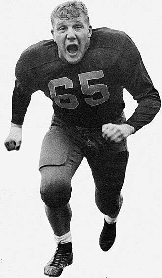 Detroit Lions Wikipedia
