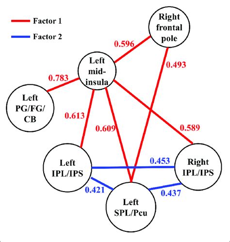 The Functional Connectivity Between The Six Regions Observed In The