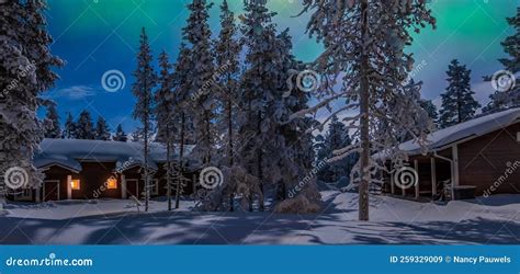 芬兰拉普兰的北灯和雪树的黑夜 库存图片 图片 包括有 本质 室外 绿色 蓝色 风景 冻结 259329009
