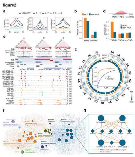 Chromosomal Features Of Regulatory Circuitry 509 A Dhs And H3k9ac