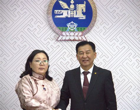 ТӨРИЙН ДЭЭД ОДОН МЕДАЛЬ ГАРДУУЛЛАА