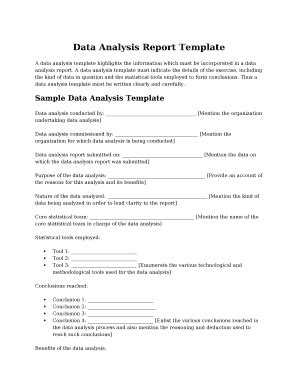 Data Analysis Report Template Doc Template PdfFiller
