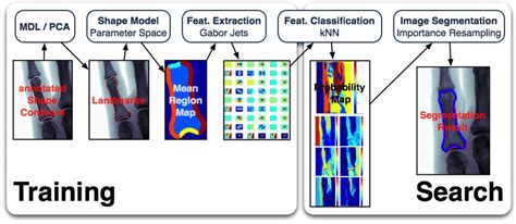 1 Flowchart Of A Shape Particle Filter Landmarks Are Obtained From