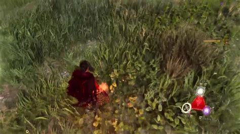 포스포큰 🌭 Youtube