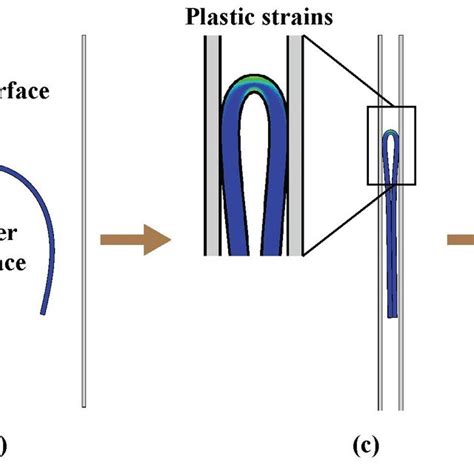 Finite Element Model For Unfolding Of A Membrane A Mesh Of The Download Scientific Diagram