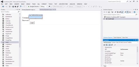ternary operator using javascript in asp c ~ screenshotsdrizzles
