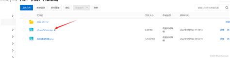阿里云oss对象存储的使用 阿里云对象存储怎么用 csdn博客