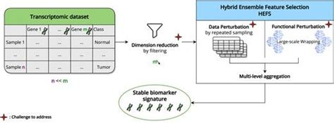 Optimizing Hybrid Ensemble Feature Selection Strategies For Transcriptomic Biomarker Discovery