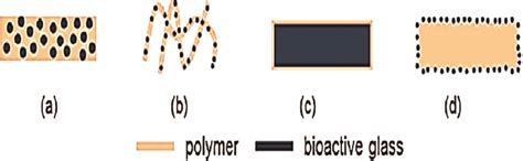 Schematic Diagrams Of A Bioactive Glass Particles In A Polymeric Download Scientific Diagram