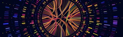 Data Preprocessing A Comprehensive Step By Step Guide