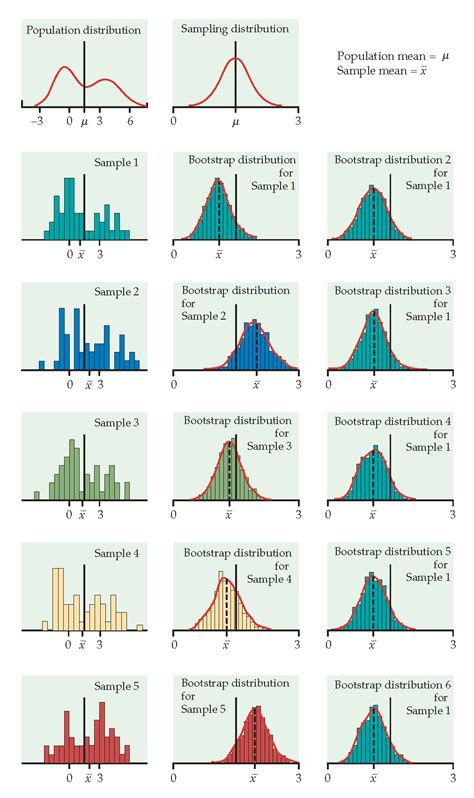 Chapter 5 Bootstrap Distributions Statistical Theory