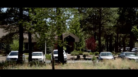 Tami Garner Sphr Shrm Scp Shrbp Posted On Linkedin